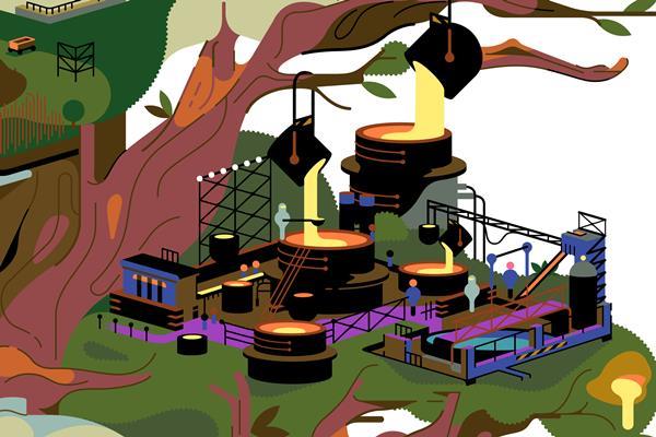 Phytomining: how to mine a tree | Feature | RSC Education